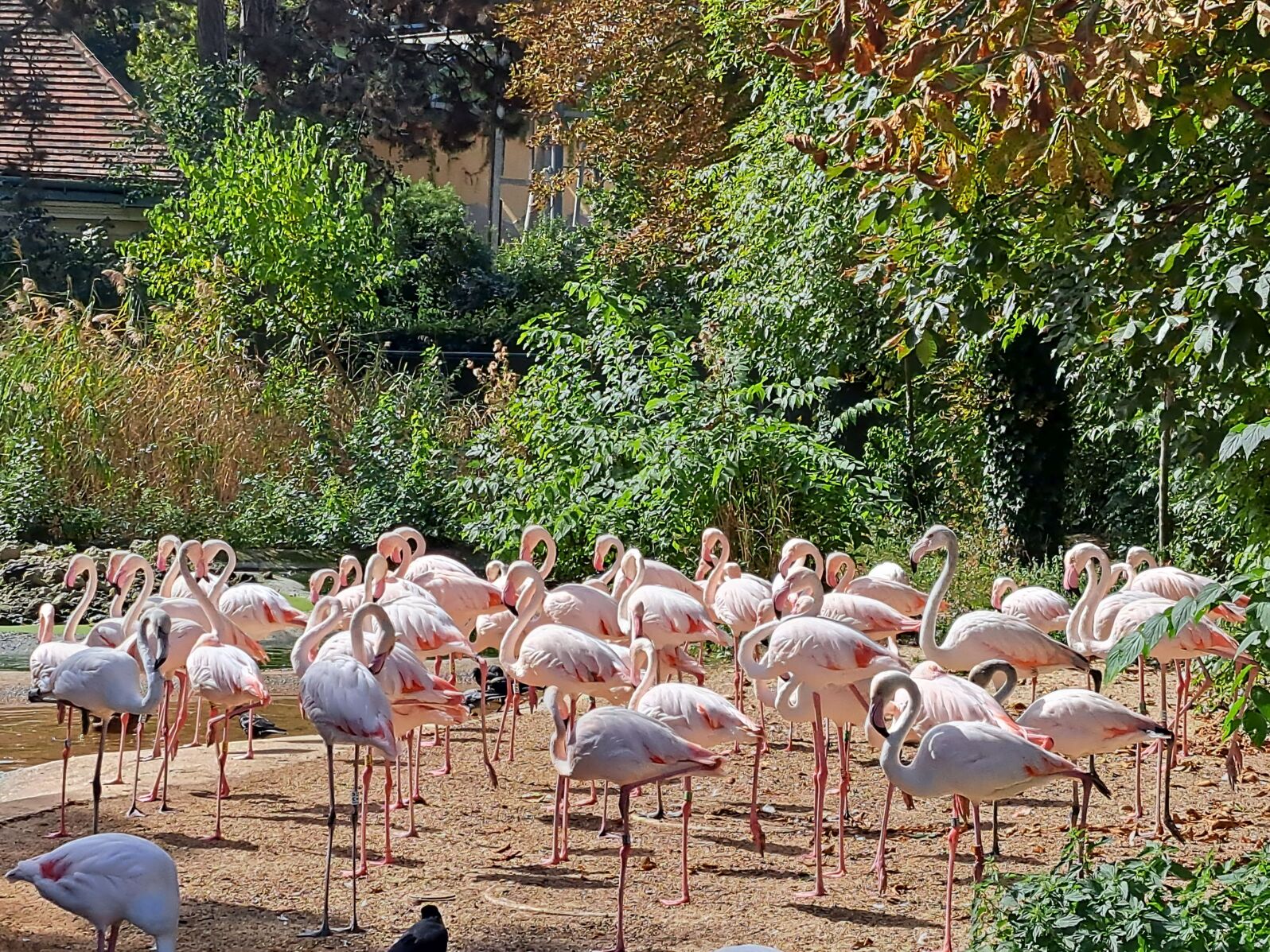 GRg 21 Bertha von Suttner - Schulschiff - Ausflug in den Tiergarten ...